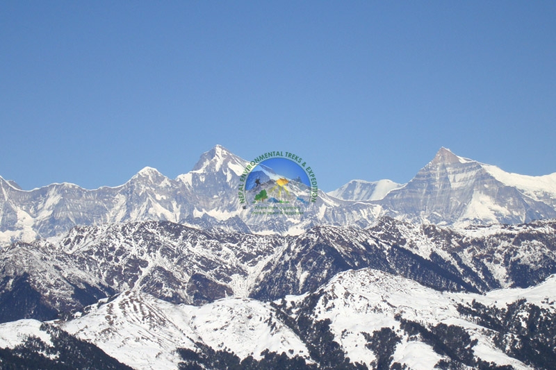 Jaljala Trek | Trekking in Rhododendron forest Nepal